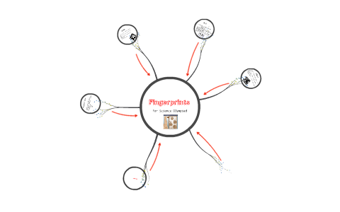 Crime Busters Fingerprints By Jenna N On Prezi