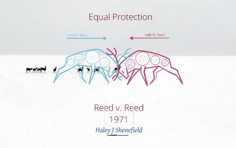 Haley Shenefield P. 3 Reed v. Reed by Haley Shenefield on Prezi