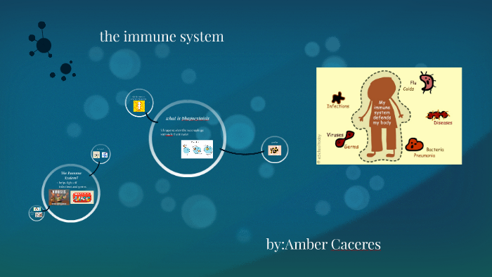 the immune system by amber caceres on Prezi