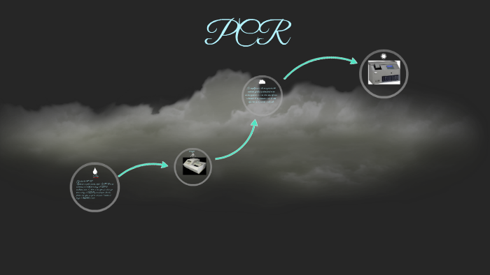 PCR by giovanny vidal on Prezi