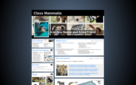 Class Mammalia by Karoline Nease on Prezi