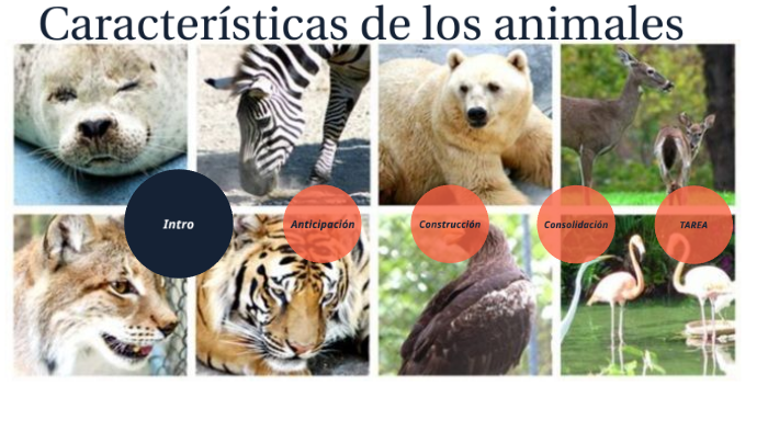 U1-T3: Características de los animales by 2dobasica 2do on Prezi