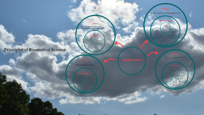 Principles of Biomedical Science by Emily Curran on Prezi