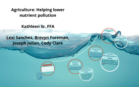 Agriculture: Helping lower nutrient pollution by Lexi Sanchez on Prezi