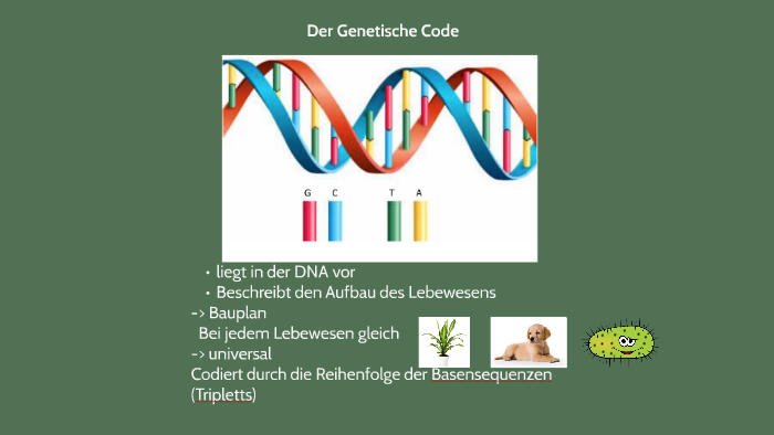 Der Genetische Code by Josephine Schönstein on Prezi