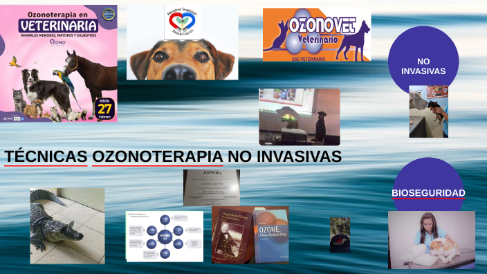 TECNICAS OZONOTERAPIA by lex ildefonso on Prezi