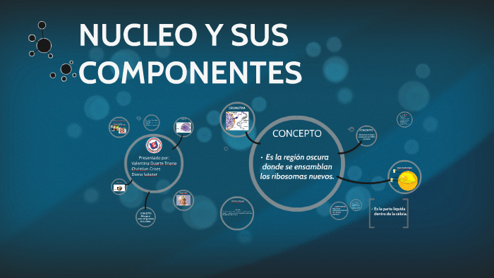 NUCLEO Y SUS COMPONENTES by Camila Montoya on Prezi