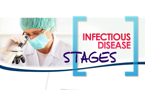 stages of infectious diseases by Janet Quiroz on Prezi