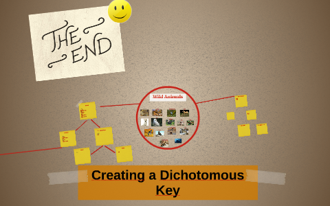 Creating a Dichotomous Key by Katrina 9 on Prezi