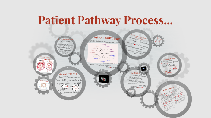 Patient Pathway Process... by rachel smith on Prezi