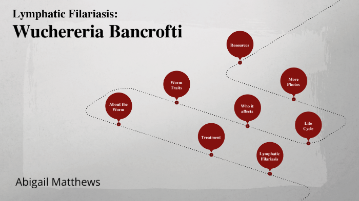 Parasitic Worm Project - Abigial Matthews by Abigail Matthews on Prezi