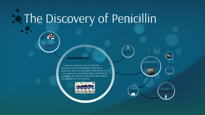 The Discovery of Penicillin by Beth Flynn on Prezi