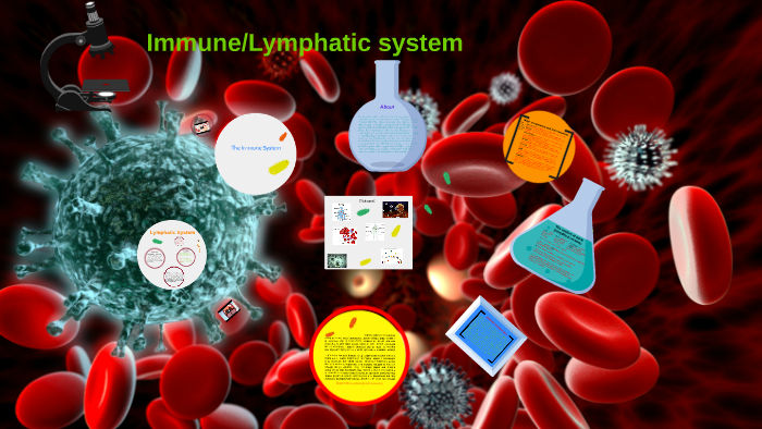 Immune/Lymphatic system by Mouiz Ahmed on Prezi