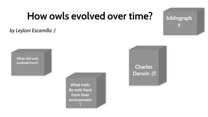 evolution of owls !!! by leylani escamilla on Prezi