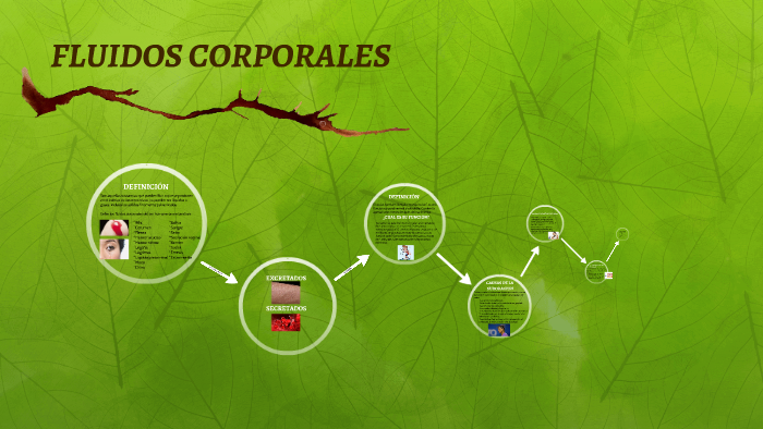 FLUIDOS CORPORALES by juan felipe rodriguez trujillo on Prezi