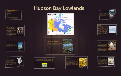 Hudson Bay Lowlands by Angad Grewal on Prezi