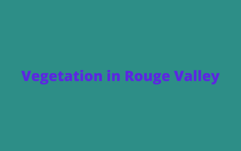 Vegetation in Rouge Valley by Antora Ghosh on Prezi