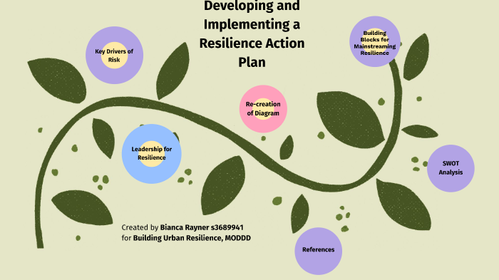 Developing and Implementing a Resilience Action Plan by Bianca Rayner ...