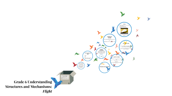 Grade 6 Understanding Structures and Mechanisms: Flight by Elisa ...