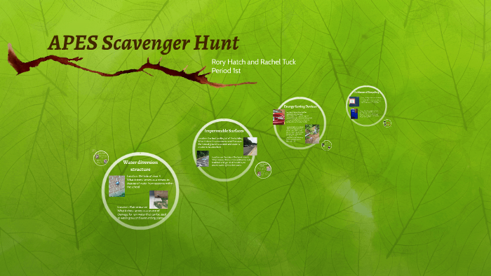 APES Scavenger Hunt by Rory Hatch on Prezi