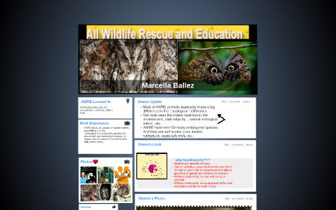 Chapter 11 checklist by marcella ballez on Prezi