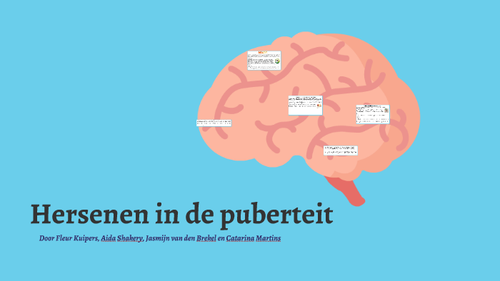 Hersenen in de puberteit, Sciece/NEMO by Catarina Martins on Prezi