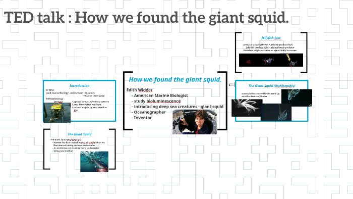 TED talk : How we found the giant squid. by Belle Lam Chi