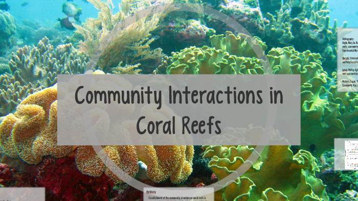 Coral Reef Interactions by Charm P on Prezi