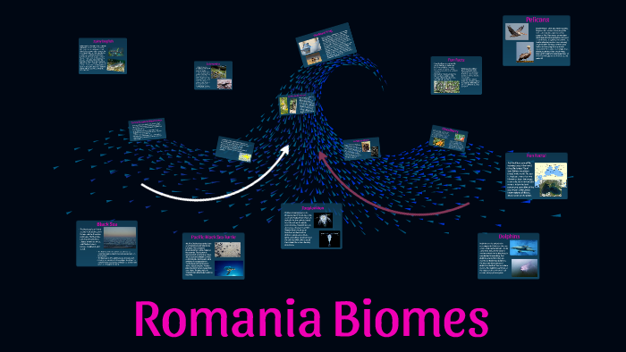 Romania Biomes by Jaslene Ortiz on Prezi