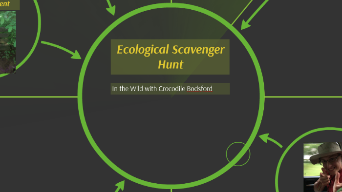 Ecological Scavenger Hunt by Chris Bodsford on Prezi