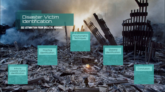 Disaster Victim Identification. by Michael Voyse on Prezi