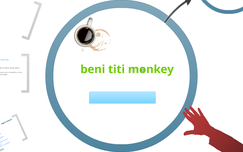 beni titi monkey by elena belyakova on Prezi