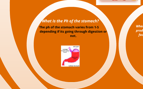 What is the Ph of the stomach? by Hector Sanchez on Prezi