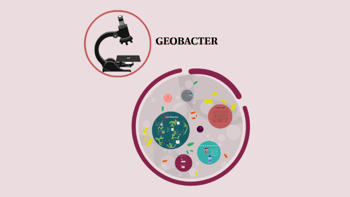 BACTERIA:Geobacter by Yanil Yajanilyn on Prezi