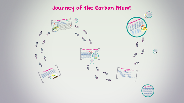 Journey of Carbon Atom by Makensie Rich on Prezi