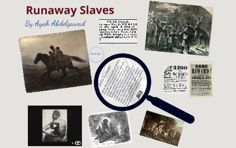 Runaway Slaves by Aya Abdelgawad on Prezi