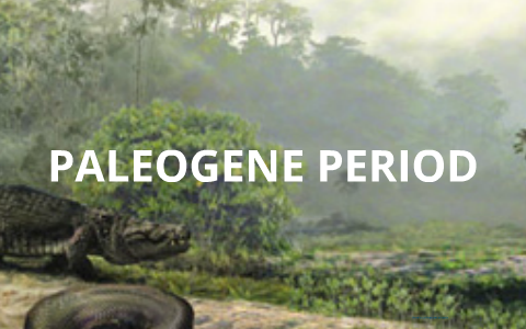 Paleogene Period by Carl Candido on Prezi