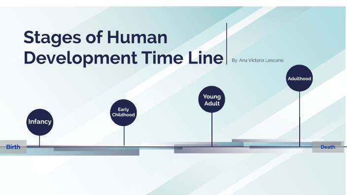Stages of Human Development Timeline by Raúl León Hallo on Prezi