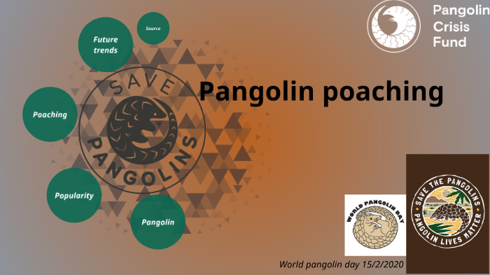 Pangolin poaching by Tha- Ice on Prezi