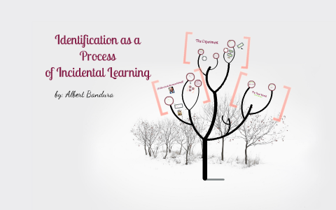 Identification as a Process of Incidental Learning by Maggie Barranger ...