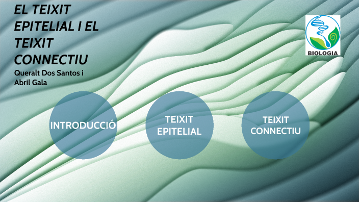 Teixit epitelial i teixit connectiu by Queralt Dos Santos on Prezi
