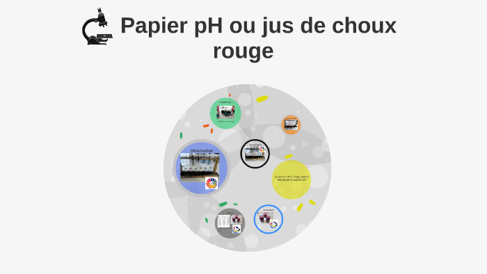 Papier pH ou jus de choux rouge by Chloé Mollé on Prezi
