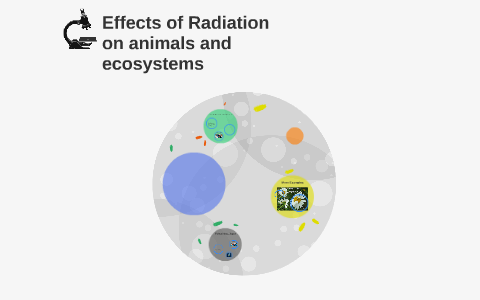 Effects of Radiation on animals and ecosystems by Blake Du Bois