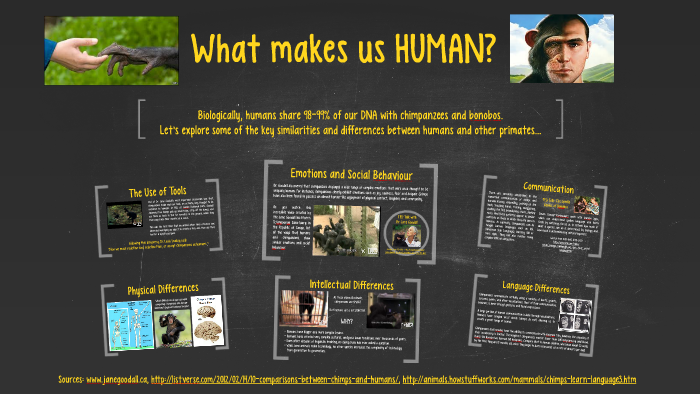 What makes us HUMAN? by Christy Richardson on Prezi