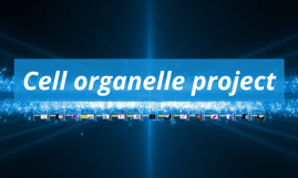 Cell organelle project by on Prezi