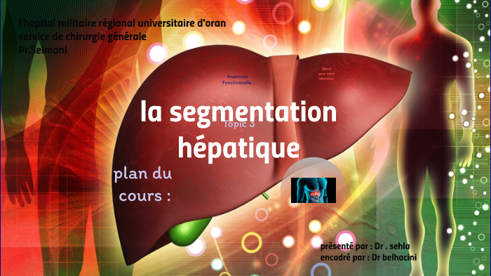 la segmentation hépatique by joujou seh on Prezi