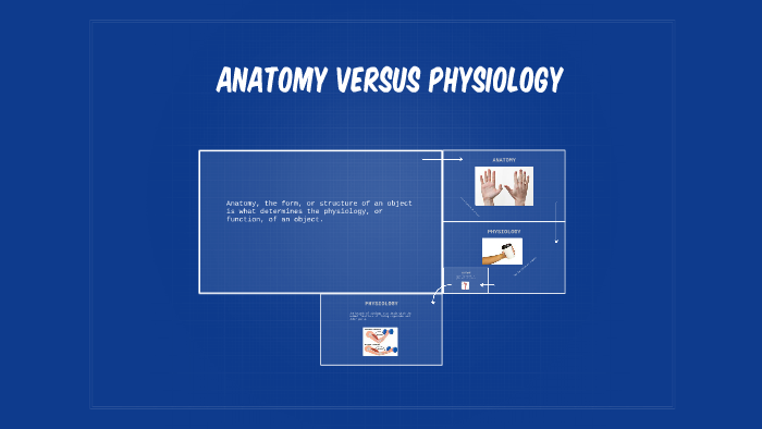 Anatomy versus physiology by Matthew Lacayo on Prezi