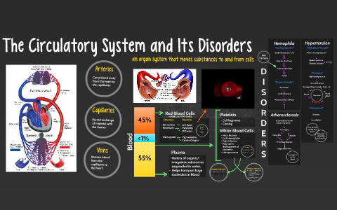 The Circulatory System and Its Disorders by Michaela Yopps on Prezi