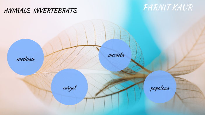 INVERTEBRATS by Parnit Kaur on Prezi