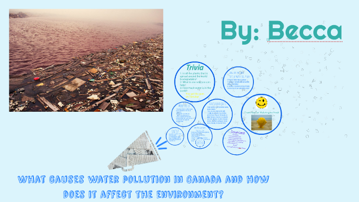 What causes water pollution in Canada and how does it affect by Becca ...